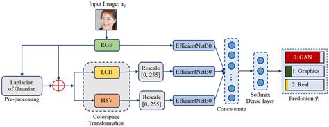 The Overall Architecture Of Our Multi Colorspace Fused Efficientnet