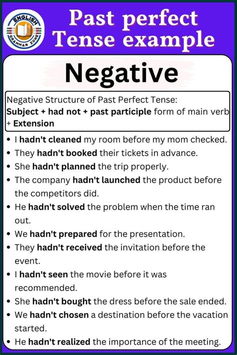 Past Perfect Tense Negative Examples