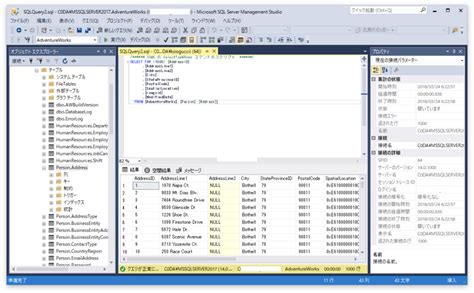 Sql Server Management Metalsubtitle