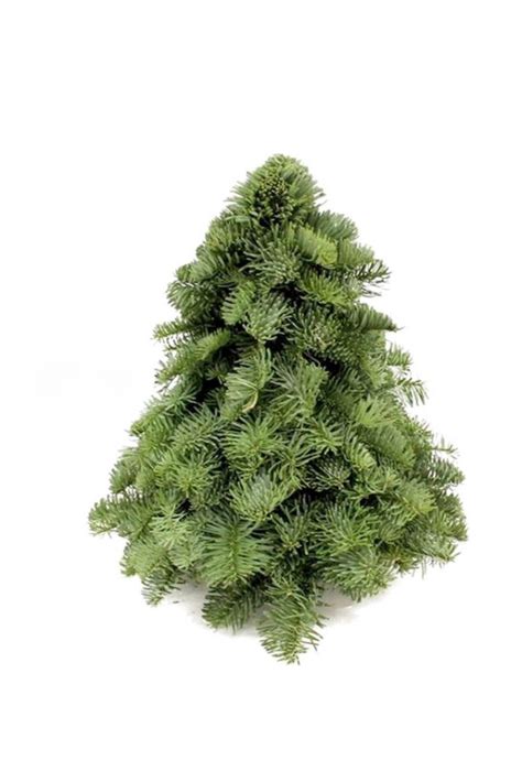 Mini Kerstboom Of Kleine Bestellen Alle Maten A Kwaliteit