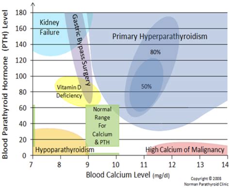 Lecture 13 Parathyroidcalciumphosphate Physiology And Metabolism