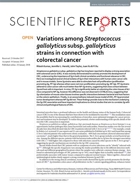 Pdf Variations Among Streptococcus Gallolyticus Subsp Gallolyticus Strains In Connection With
