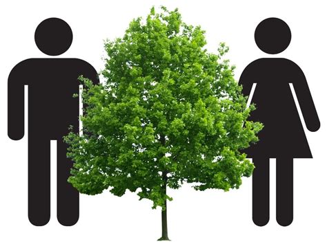 Our Blog Woodland Classroom