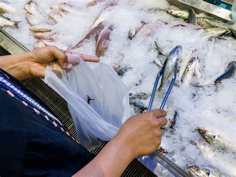 Man Using Tongs Picking Assortment Of Sushi In Buffet Meal Stock Photo Image Of Fresh