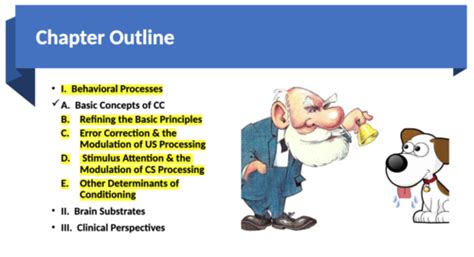 Chapter 9 Human Sexualitity Flashcards Quizlet
