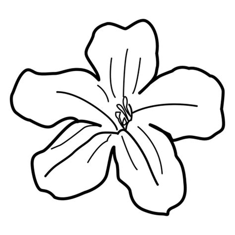 Flor De Bora Para Colorear Imagui