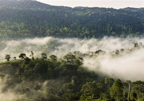 Baddegamaඅහසින් දසත අප්‍රිකා මහද්වීපය 1 අප්‍රිකා මහද්වීපයේ රටවල්