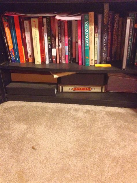 How Do You Arrange Your Bookshelves