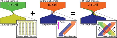 The Overlapping Of Two Identical 1d Cells Mounted Back To Back Download Scientific Diagram