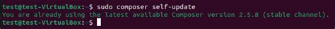 how to install and use composer on ubuntu cherry servers