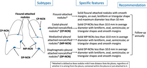 How I Do It Management Of Pleural Attached Pulmonary Nodules In Low