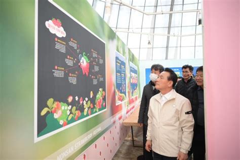 논산시 2024 논산딸기축제안전 이상무 꼼꼼하게 점검하다 아주경제