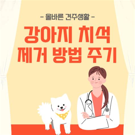 강아지 치석 제거 방법 비용 주기 치석제거기 네이버 블로그