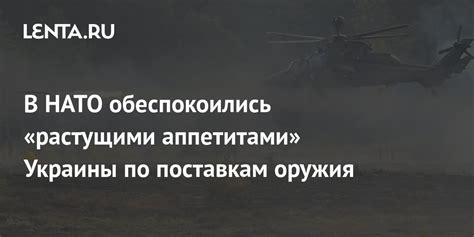 В НАТО обеспокоились «растущими аппетитами Украины по поставкам оружия Политика Мир