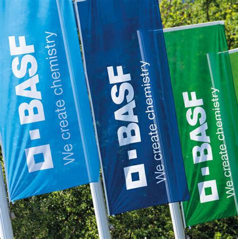 Basf Sells Bioenergy Enzymes Business