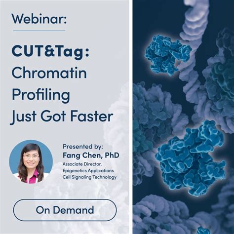 Meet Cutandtag The Next Gen Chromatin Profiling Solution That Offers 🔹