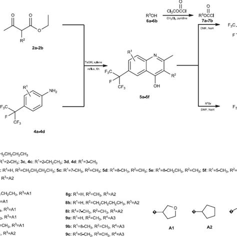 Synthetic Pathways For The Target Compounds Download Scientific Diagram