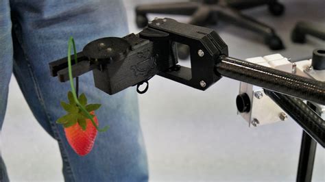 Perth Engineers Design Robot Strawberry Picker That Kills Fungus With