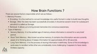 How Memory Works PDF Brain And Nervous System Disorders Diseases And Conditions