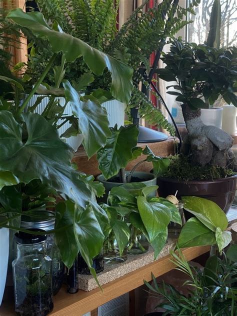 Optimistic Nihilist On Tumblr