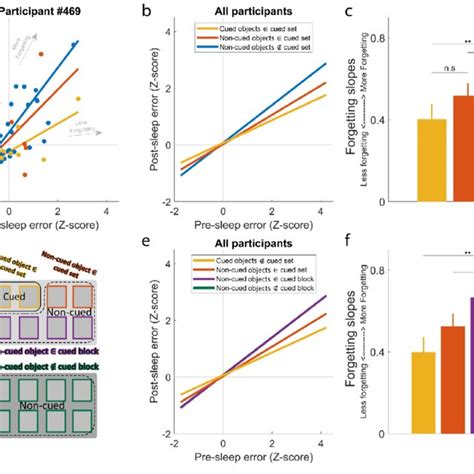 Targeted Reactivation Benefited Recall For Reactivated Memories And For Download Scientific