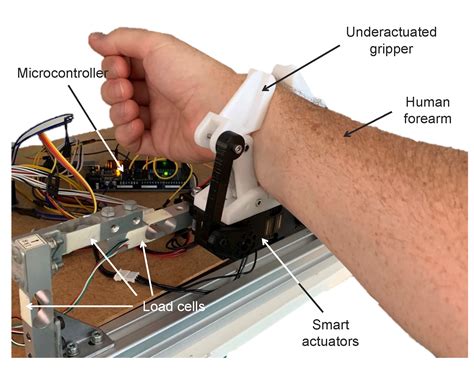 What Are The Differences Between Exteroceptive Sensors And Proprioceptive Sensors At Steven