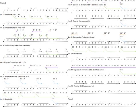 Figure 2 From Parallel Binary Sorting And Shifting With Dna Semantic Scholar