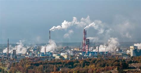 Crisi Climatica Le Conseguenze Giuridiche Della Sentenza Cedu Sulle