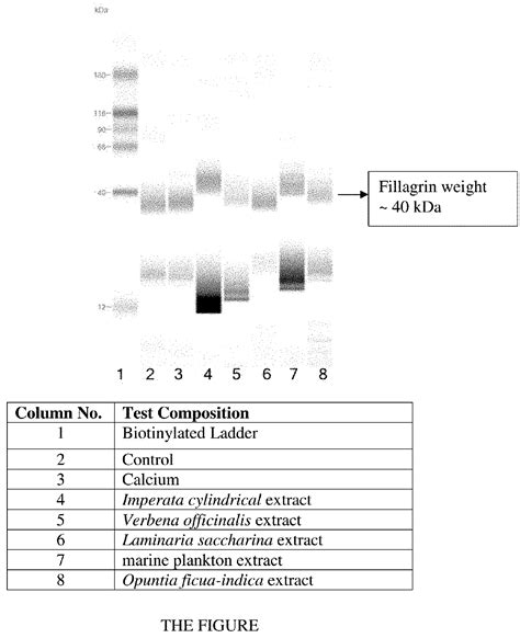 Topical Cosmetic Compositions Eureka Patsnap