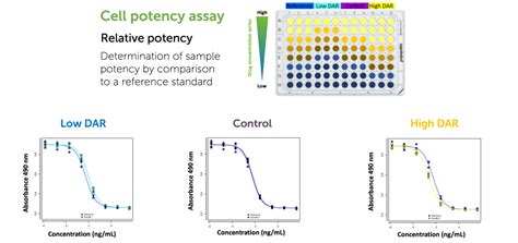 Applying Analytical Method Validation To Cell Based Potency Assays Sterling Pharma Solutions