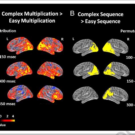 eeg meg minimum norm source estimates of task phases between 300 and