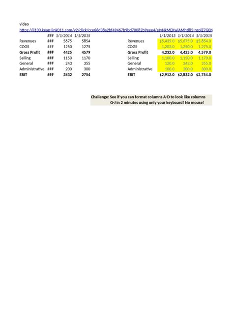 Wso Excel Challenge Pdf