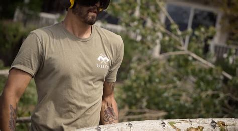 Tree Trimming Dos And Donts That You Should Be Aware Of Tree Co