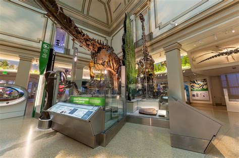 Une Empreinte De Dinosaure Jurassienne Exposée Au Smithsonian Museum à Washington Jurassica Museum