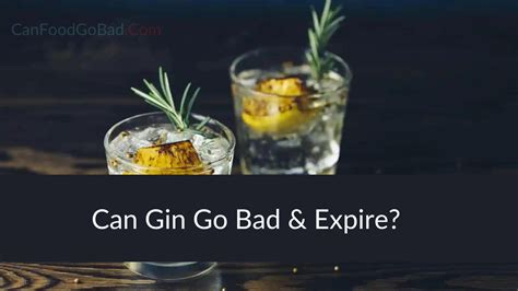 Does Gin Go Bad Can Gin Spoil Unveiling Its Shelf Life Can Food Go Bad