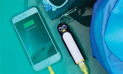 Buqu USB Power Bank Groupon