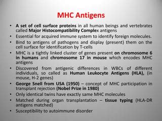 STRUCTURE AND FUNCTIONS OF MHC PDF