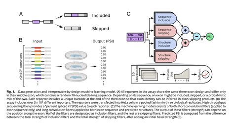 Unraveling Gene Regulation With Deep Learning A New Ai Approach To