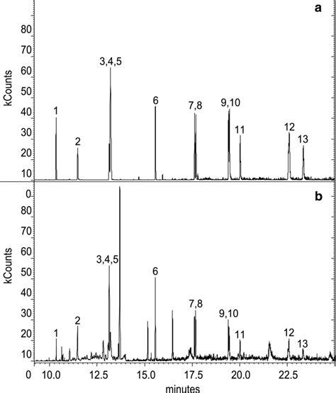 Gc Ms Chromatograms Of A Standard Solution At 40 Ng Ml−1 And B