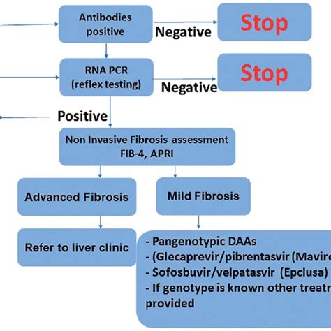 Screening Diagnosis And Treatment Of Chronic Hepatitis C Download Scientific Diagram