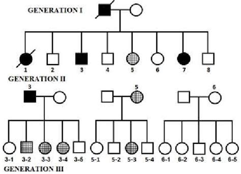 Figure 1 From Detection Of Cag Trinucleotide Repeat Numbers With