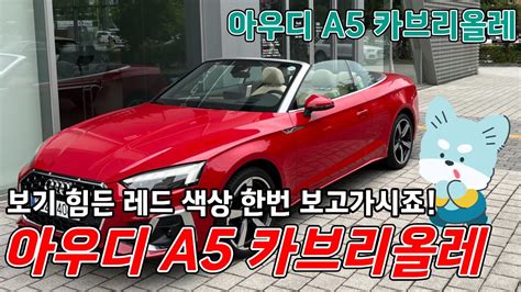 2024 아우디 오픈카 A5 카브리올레 도로에서도 보기 힘든 차량이죠 재고 많이 없습니다 서둘러주세요~ Youtube