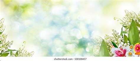 Lily Valley Field Images Stock Photos Vectors Shutterstock