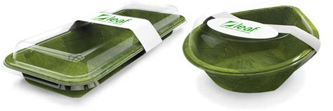 Leaf Plates Eco Friendly Packaging