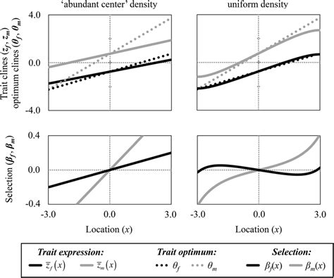 Equilibrium Trait Clines And Patterns Of Sex Specific Selection
