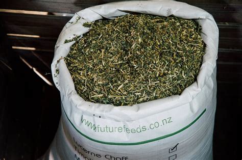 Future Feeds Lucerne Chaff Feed Central
