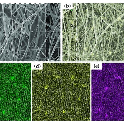 A Sem Image Of The Nanofibers With Batio3 Nanoparticles B