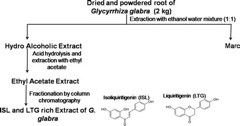 Schematic Presentation Of The Preparation Of Standardized Enrich