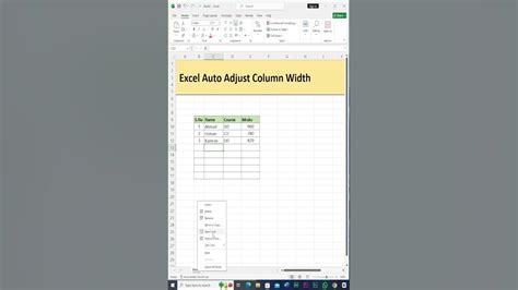 auto adjust column width in ms excel excel excelformula exceltips excelfunction exceltricks