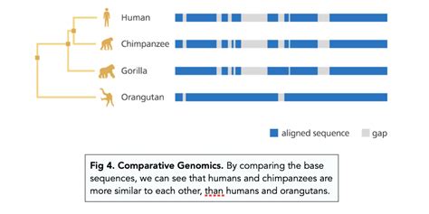 The Three Domain System A Level Biology Study Mind
